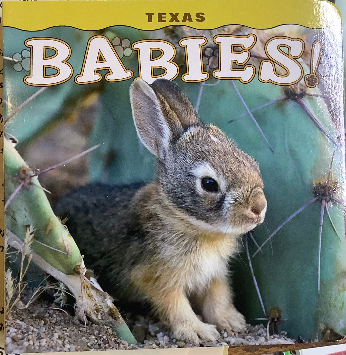 Texas Babies — The Buffalo Wool Co. - Herd Wear Retail Store